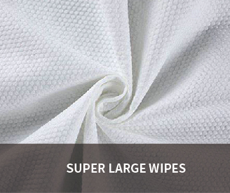 Biokleen Small Pack Sport Wipes | Biokleen Wipes